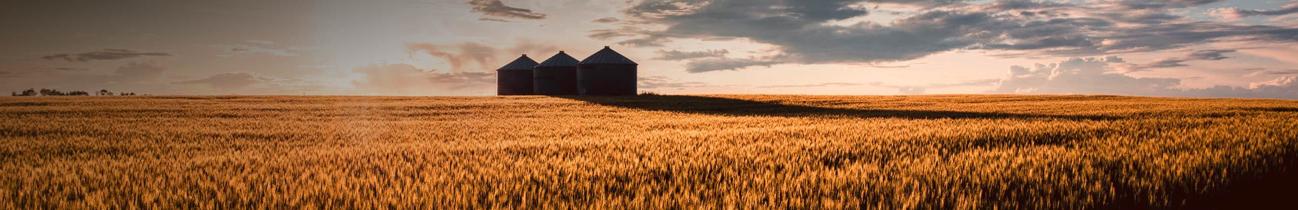 Canadian Grains - Grain Growers of Canada